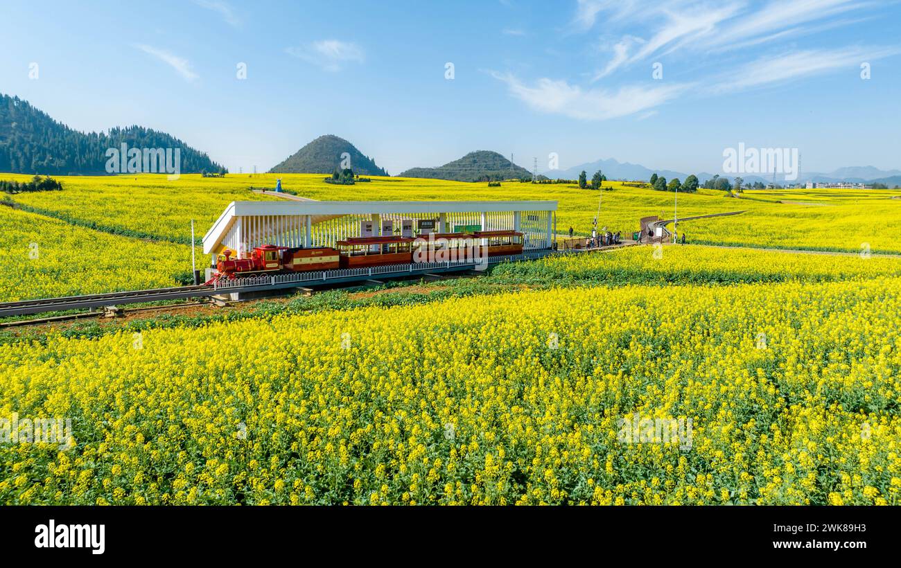 Luoping. 19th Feb, 2024. An aerial drone photo taken on Feb. 19, 2024 ...