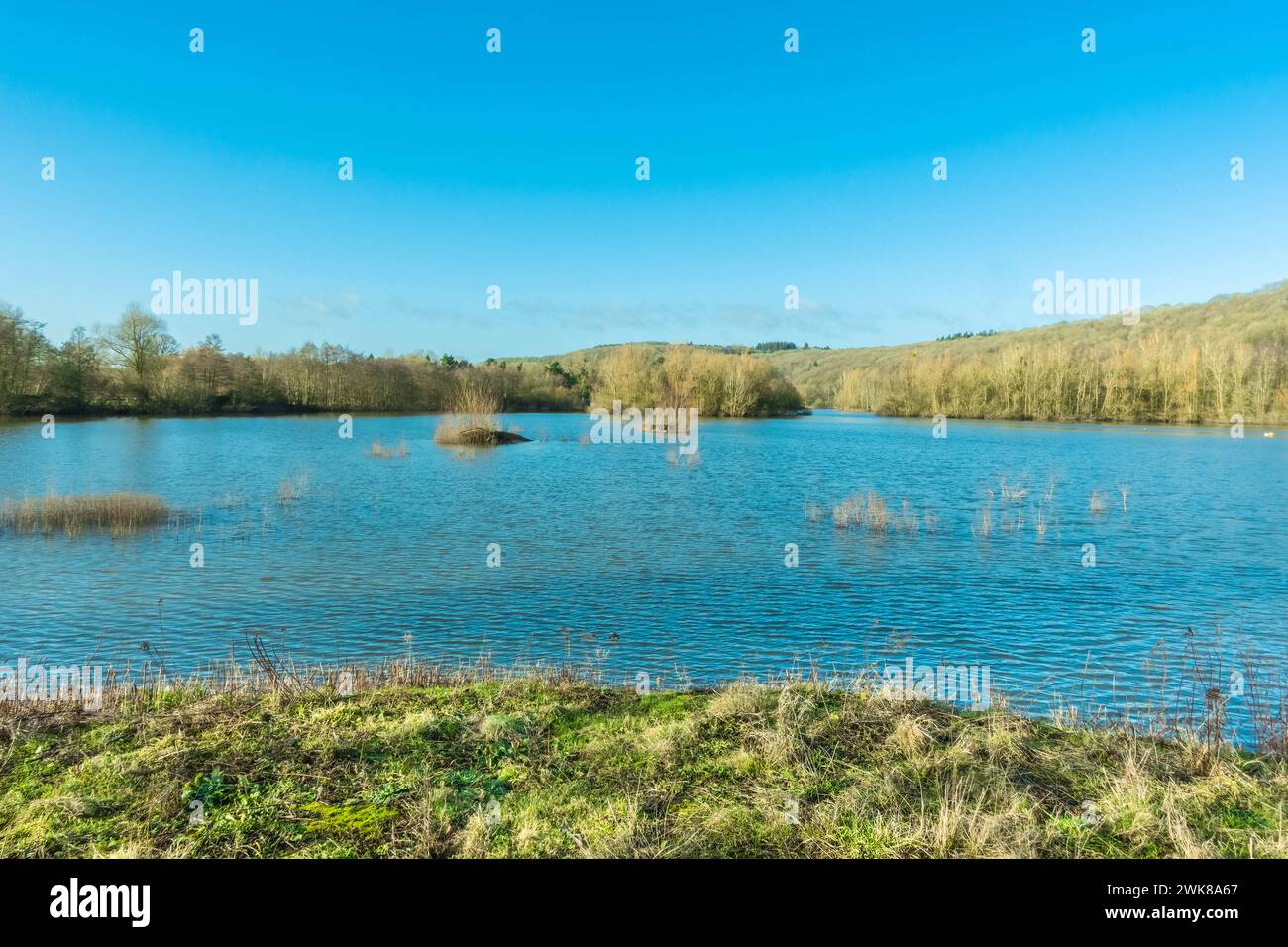 January scenery scene sunny hi-res stock photography and images - Alamy