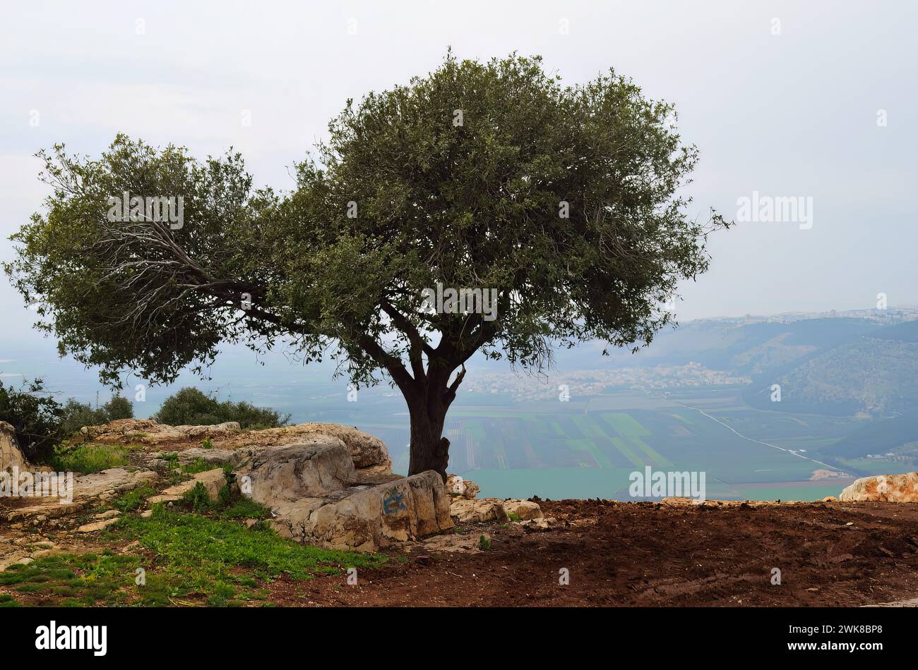 Mount tabor in israel hi-res stock photography and images - Alamy