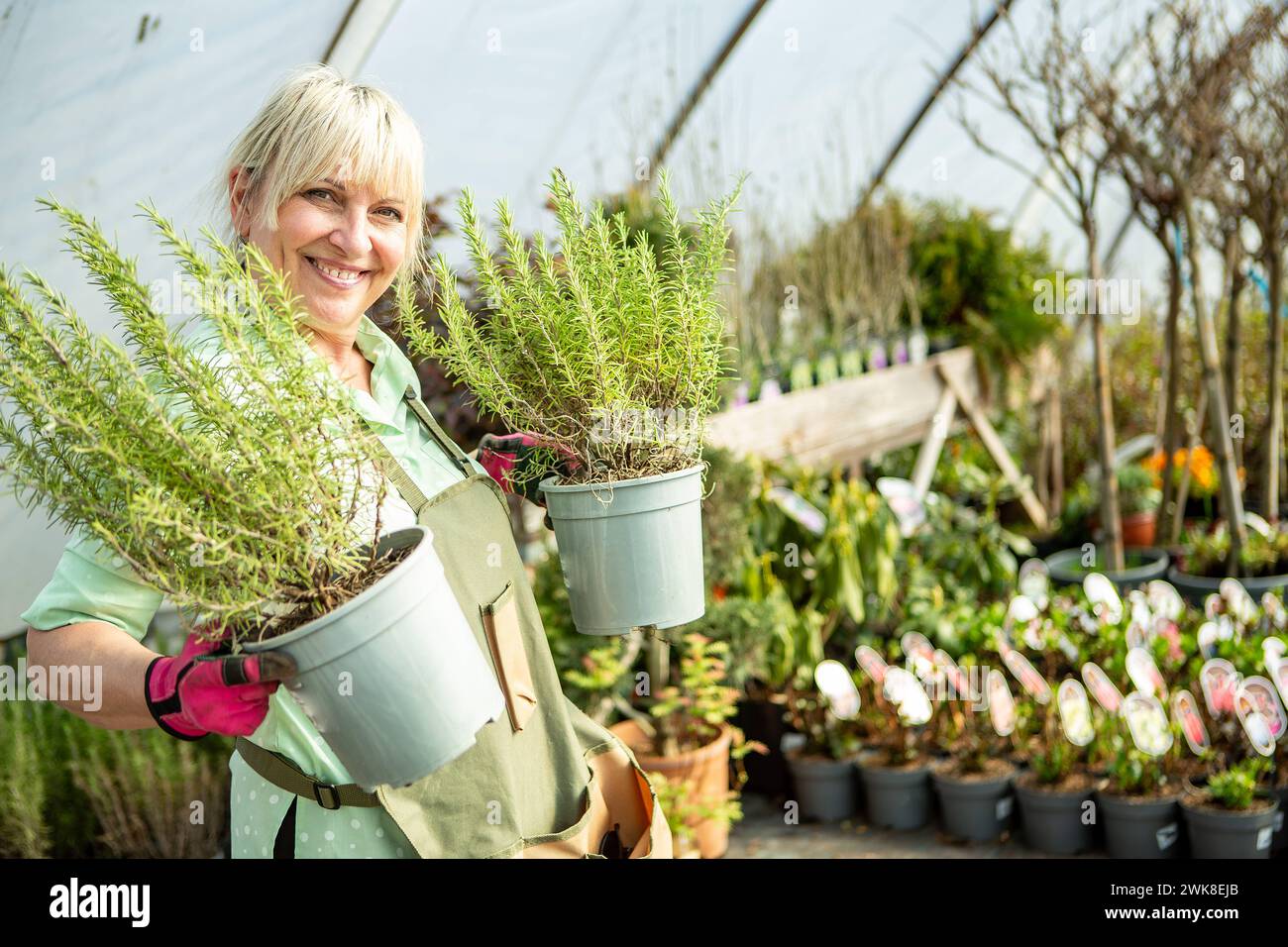 Smiling Woman with Potted Rosemary Plants Cheerful woman in a ...