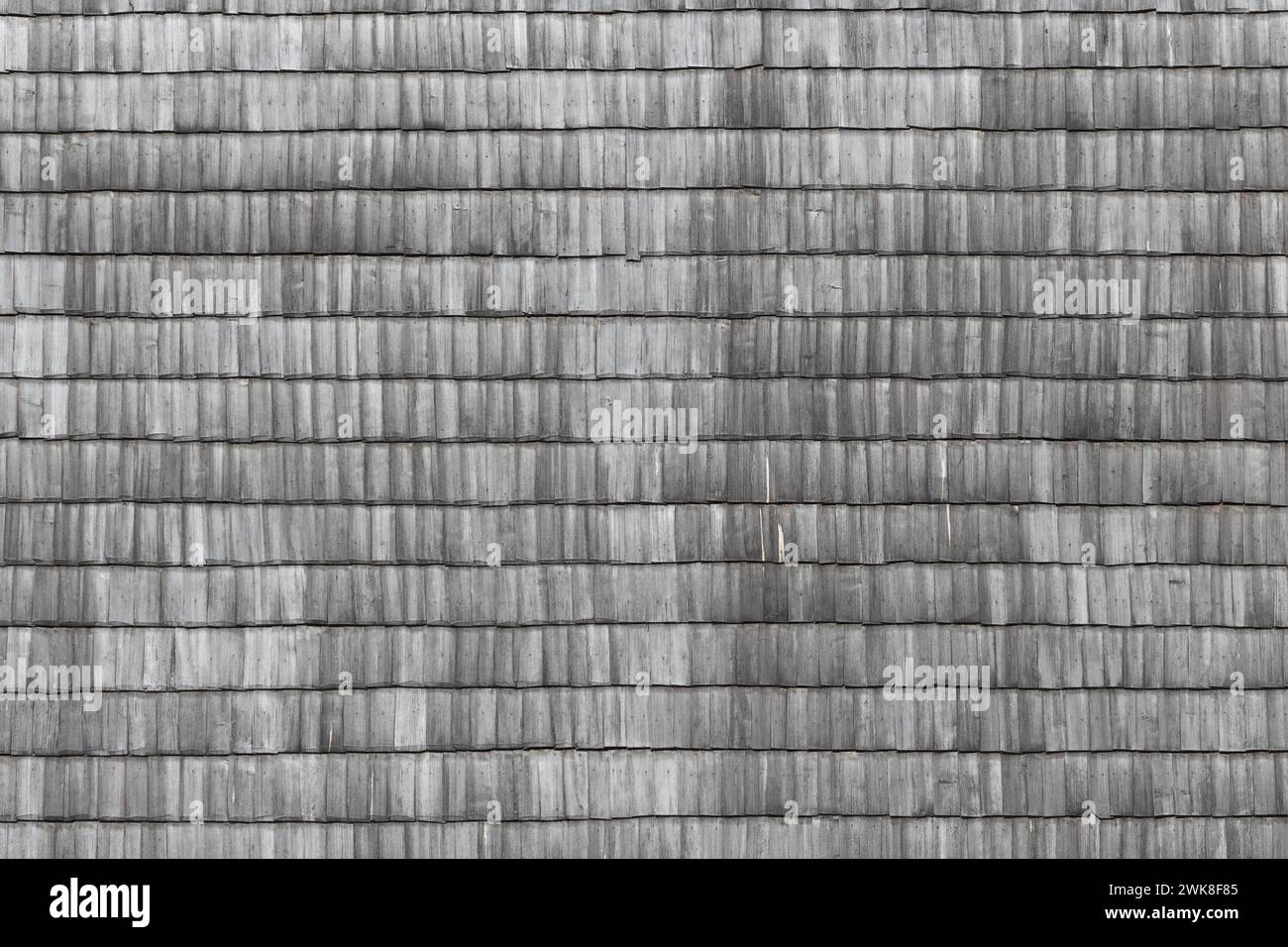 traditional shingle texture ready for your architectural design ...