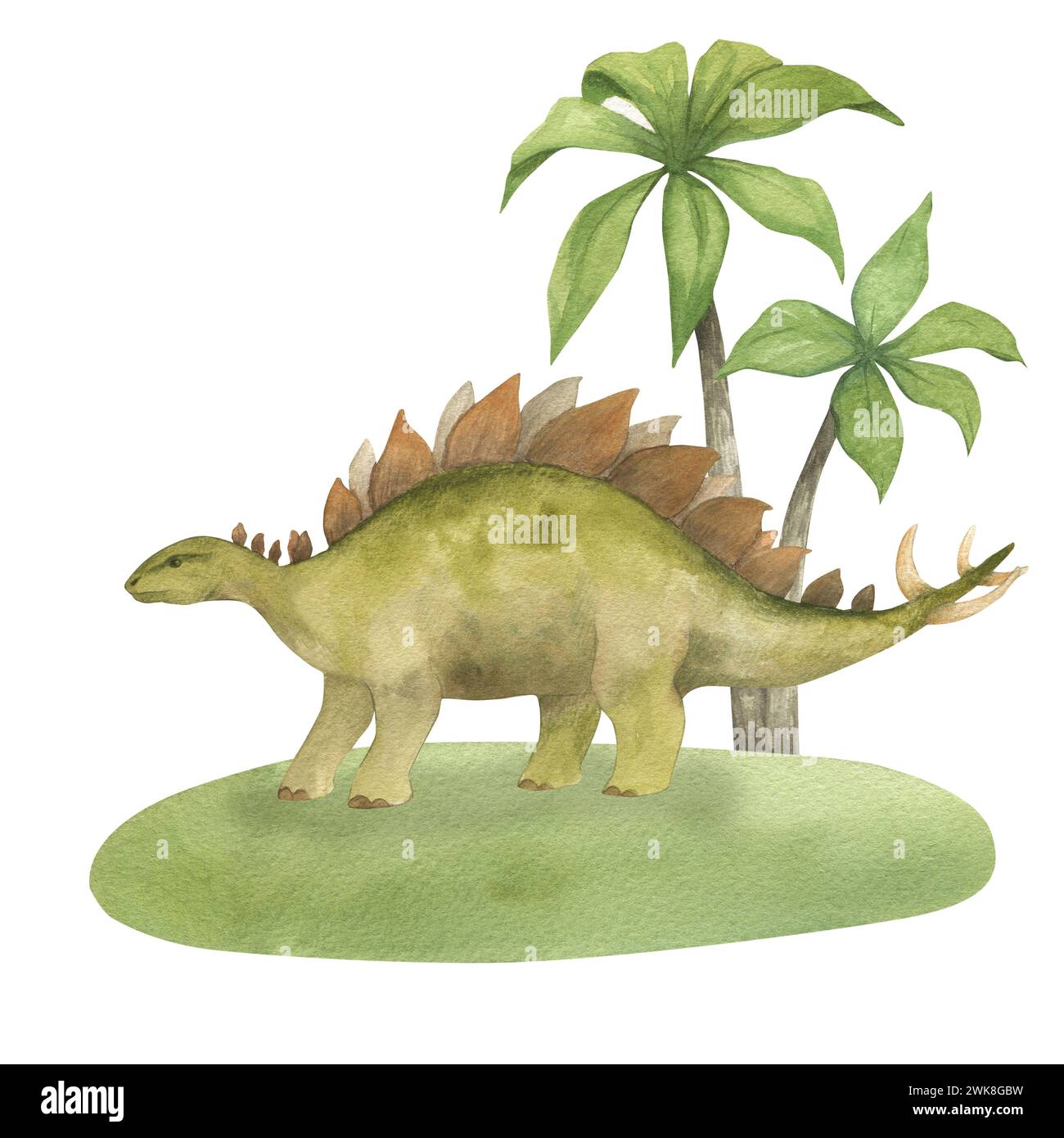 Watercolor illustration of a dinosaur stegosaurus on green grass with ...
