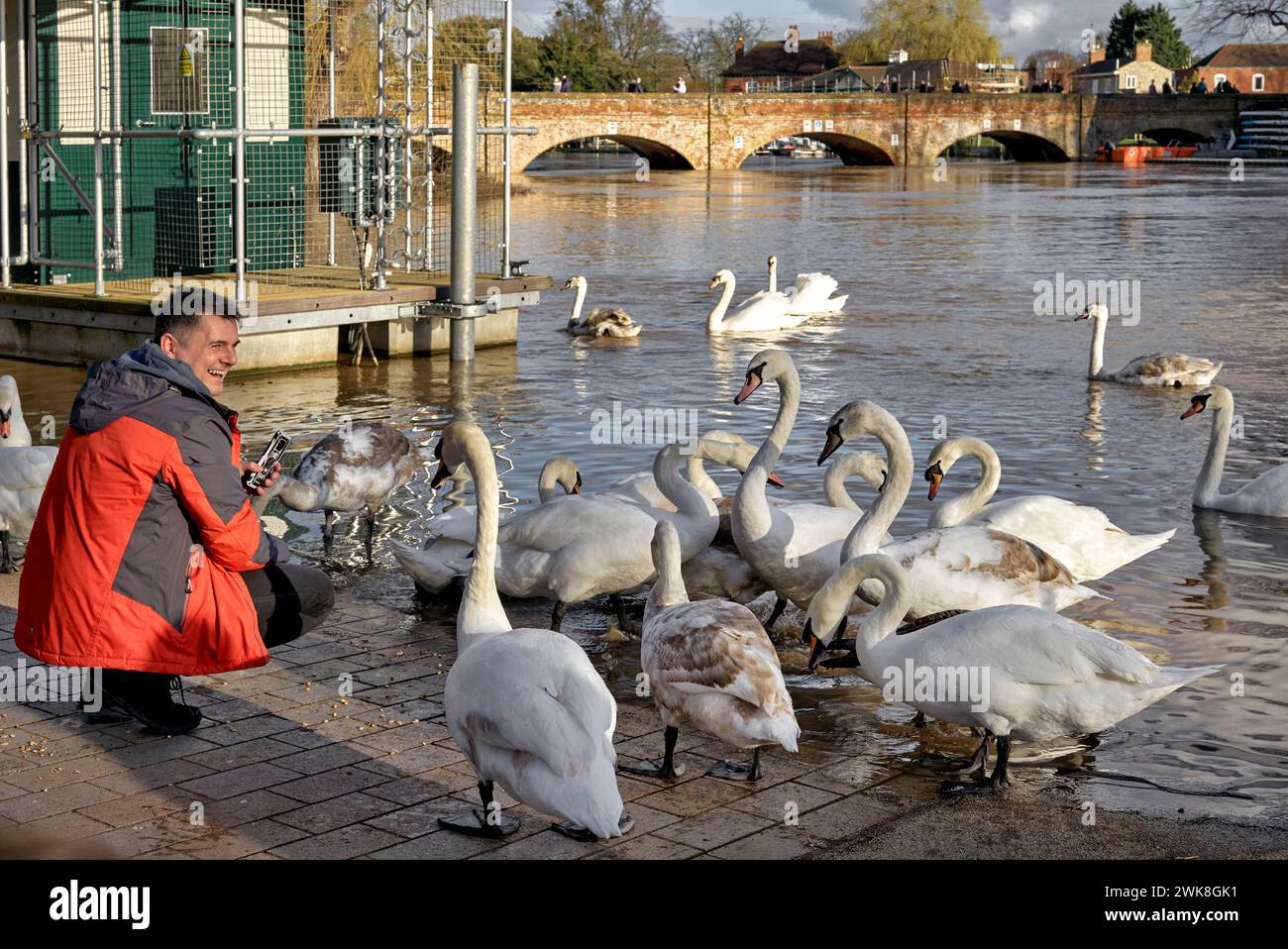 Humans interacting with birds hi-res stock photography and images - Alamy