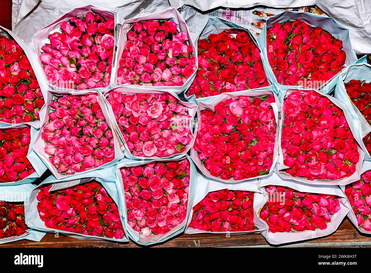 Bangkok, Thailand - December 22, 2009: fresh red roses are offered ...