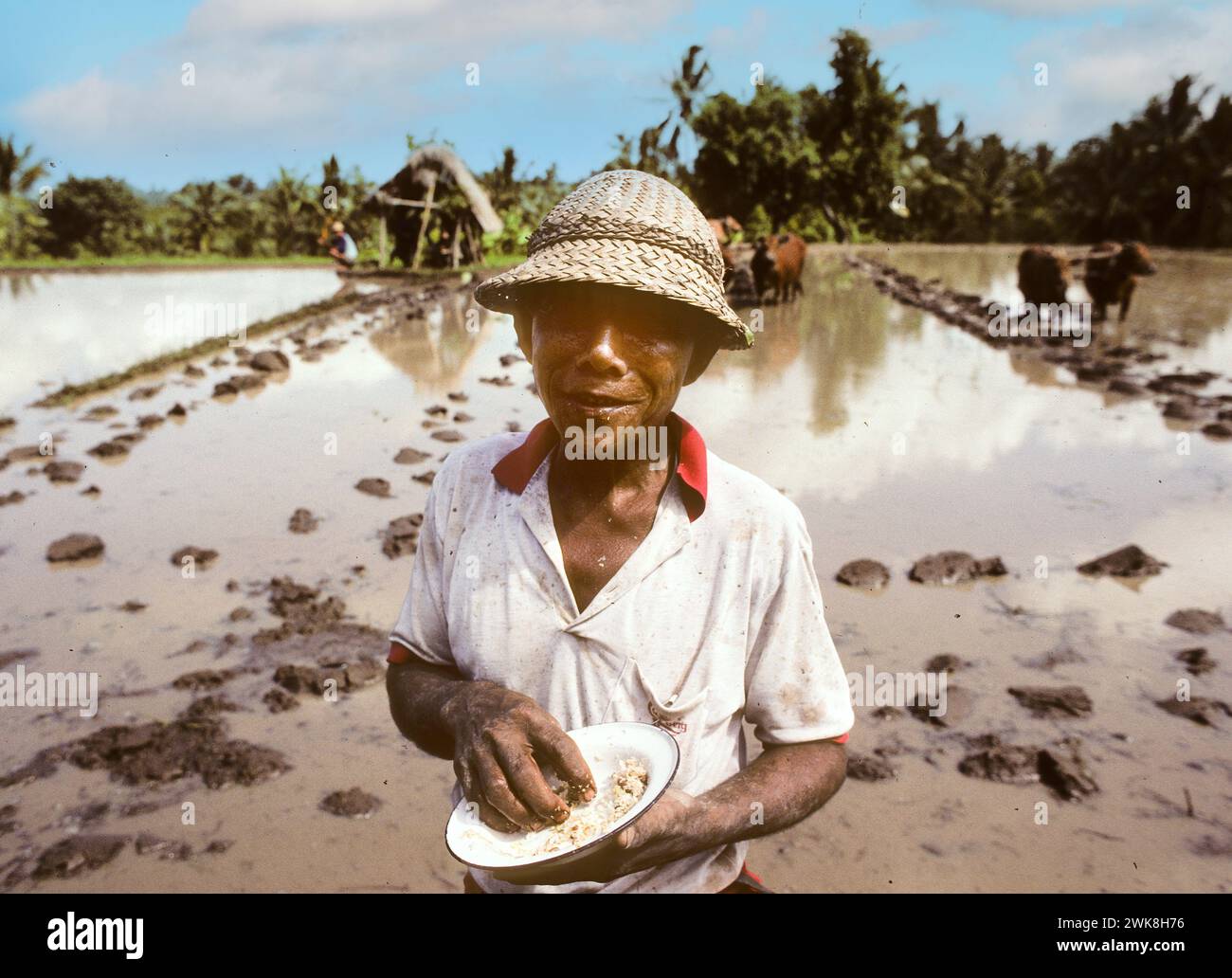 Tirtagganga, Indonesia - June 30, 1999: farmer in the rice fields eats ...