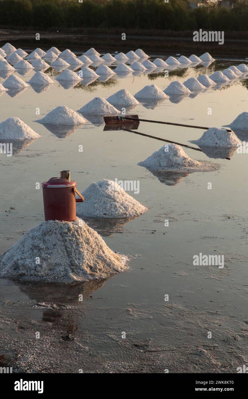 Piles of salt, a water cooler and a scraper at a traditional salt farm ...