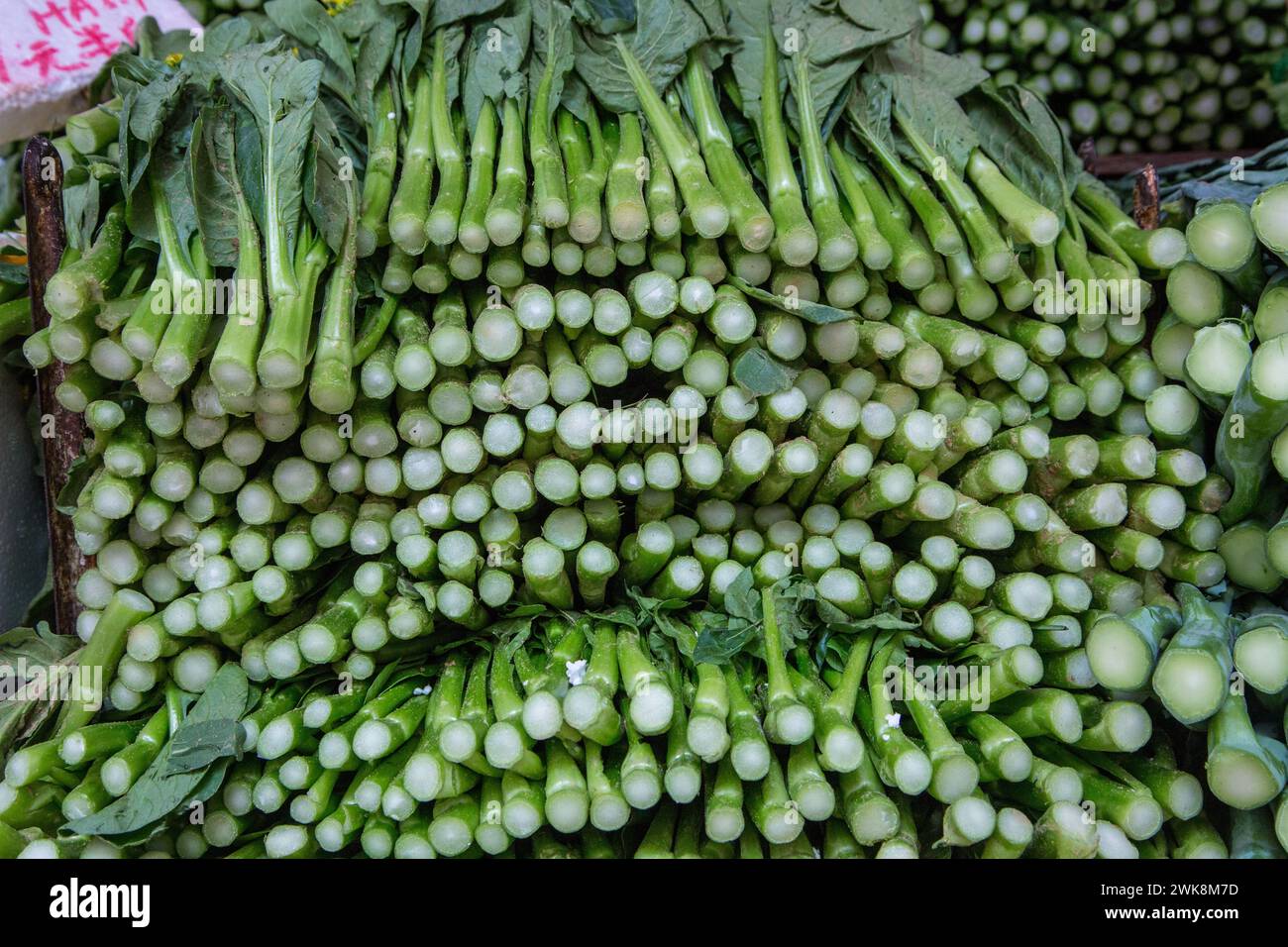 Yu choy sum brassica rapa var parachinensis hi-res stock photography ...