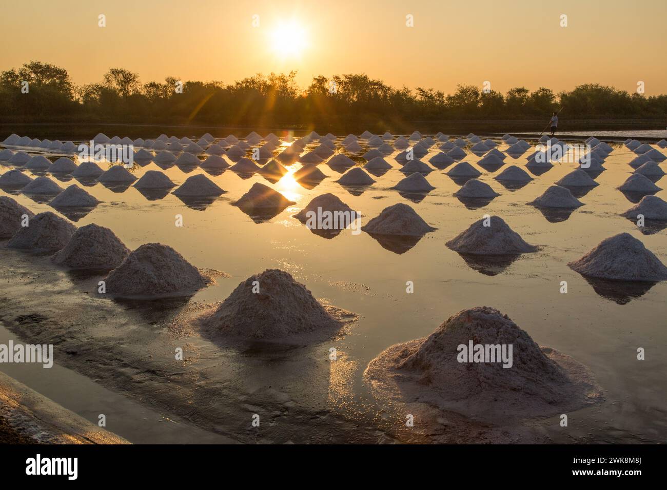 Piles of salt create geometric designs on the salt pan at a traditional ...