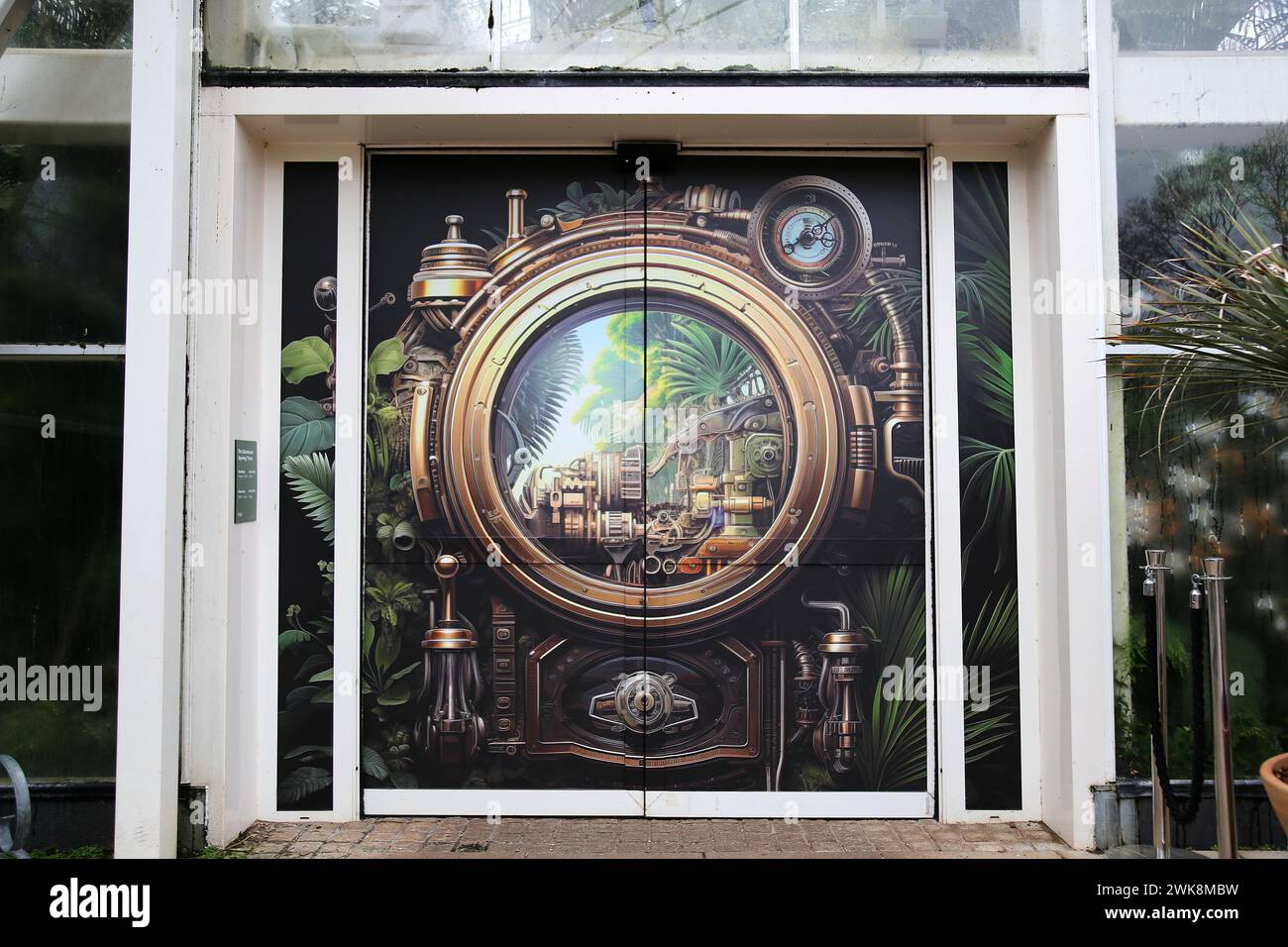 Time Machine Doors, Houseplant Takeover 2024: Plants Before Time ...