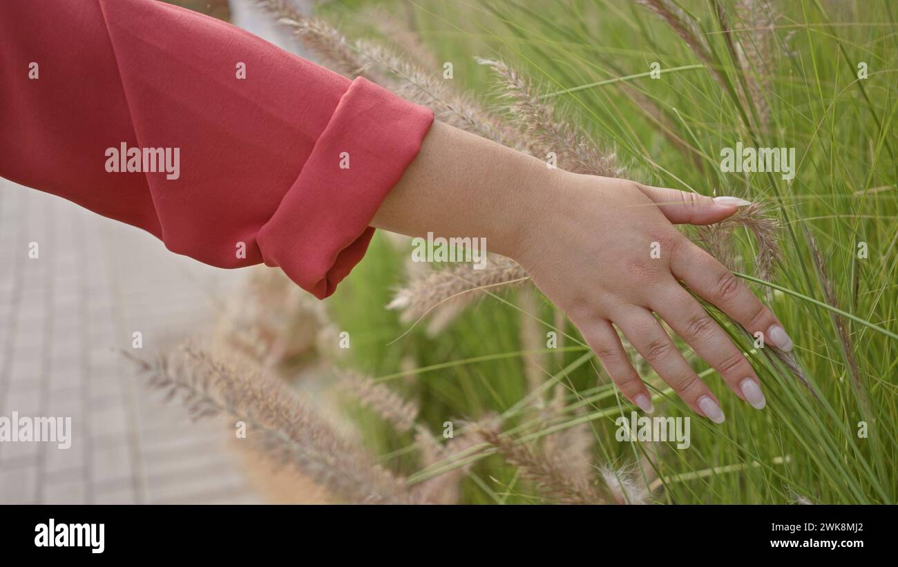 Woman gentle touching tall grass hi-res stock photography and images ...