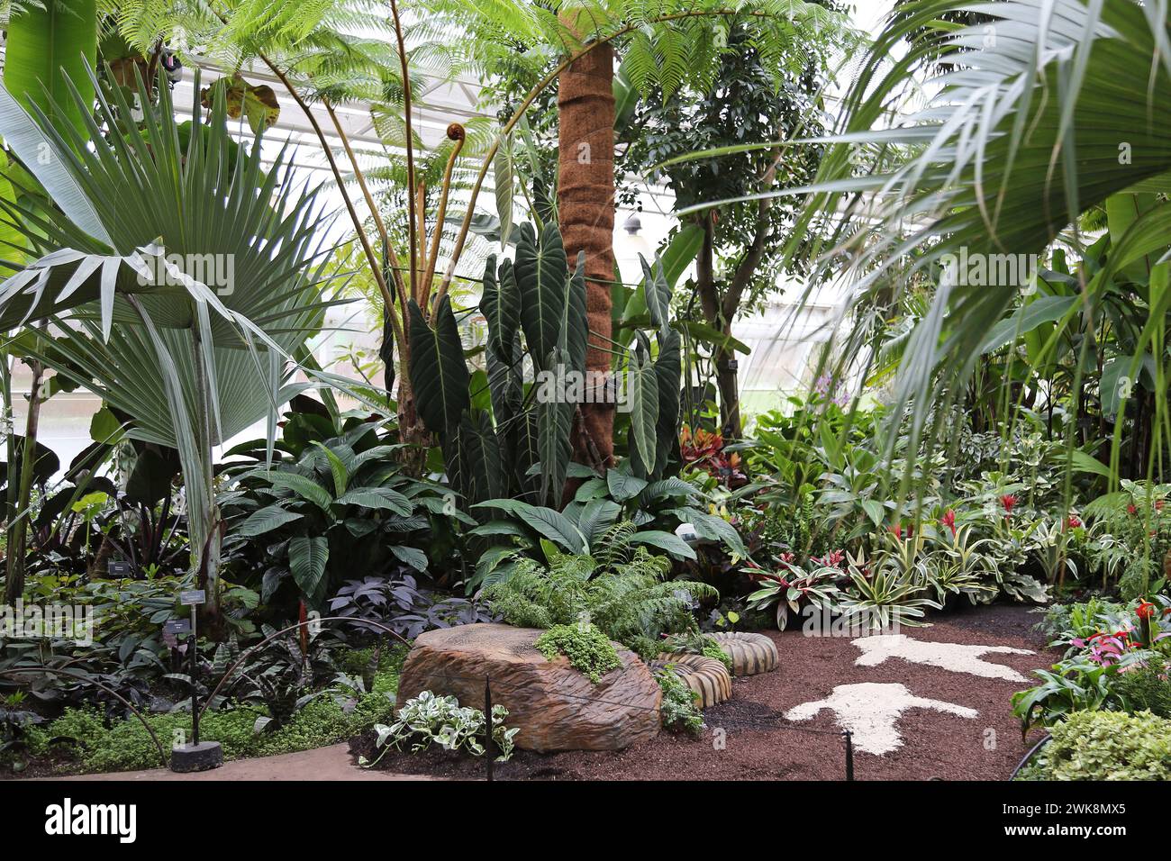 Tropical Zone, Houseplant Takeover 2024: Plants Before Time, Glasshouse ...