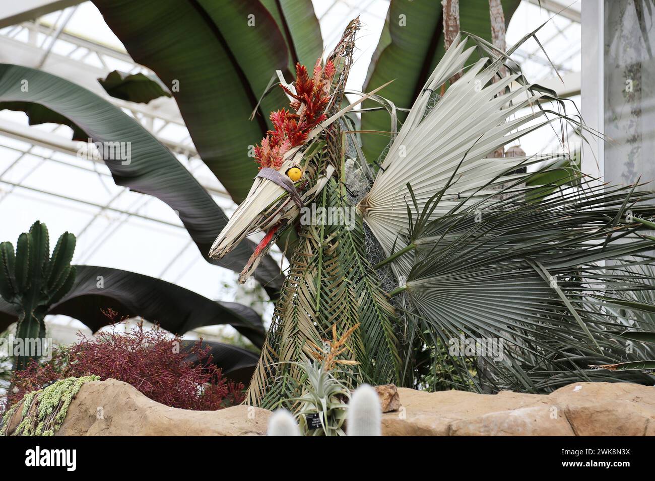 Pterosaurus, Dry Temperate Zone, Houseplant Takeover 2024: Plants ...