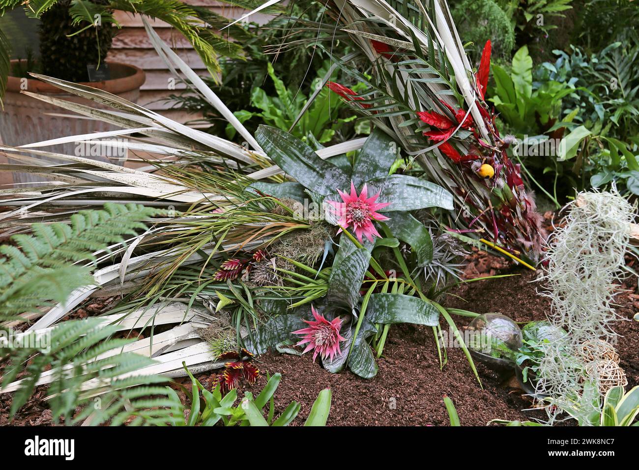 Moist plants hi-res stock photography and images - Alamy