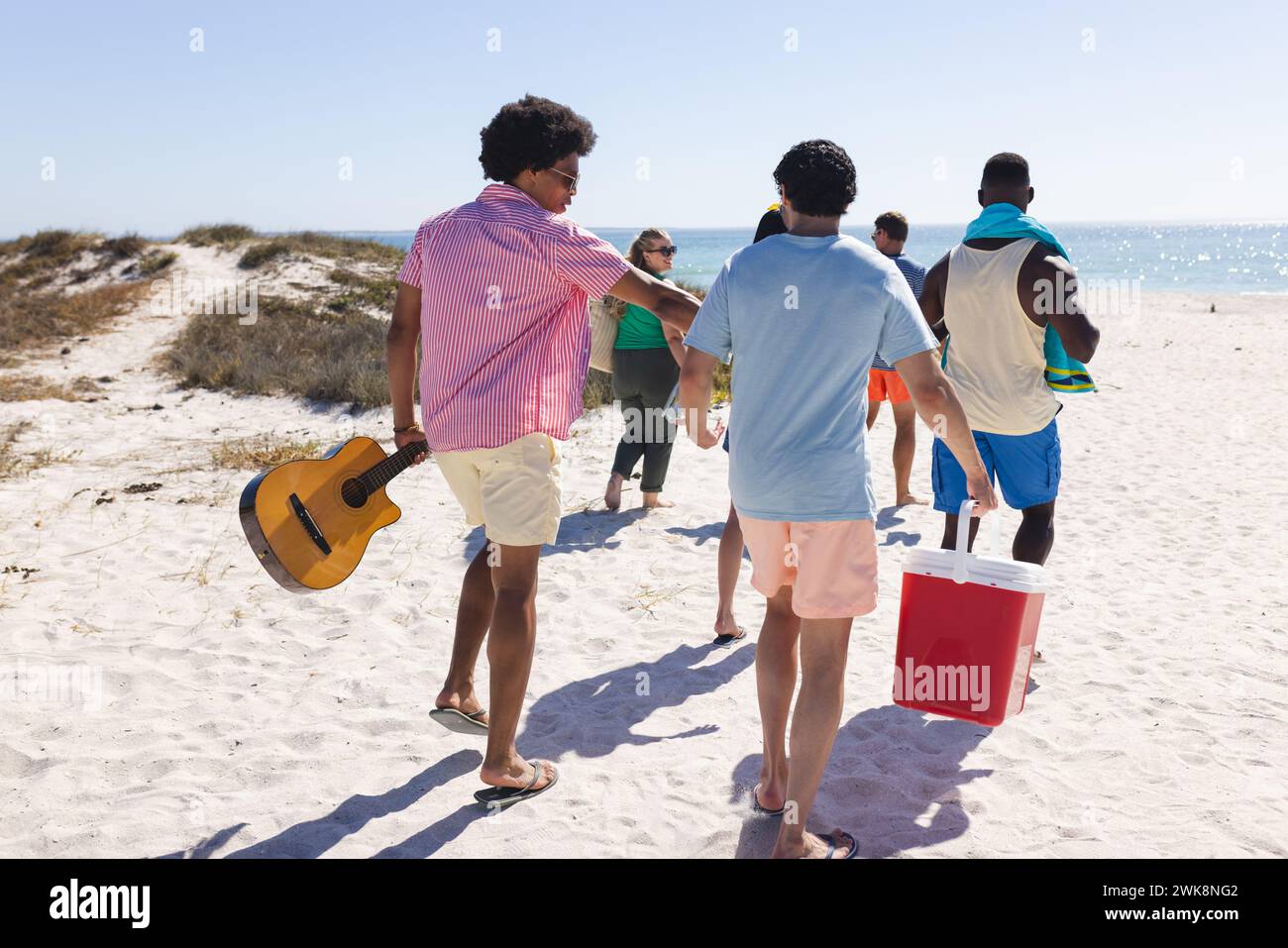 Diverse group of friends heading to the beach Stock Photo - Alamy