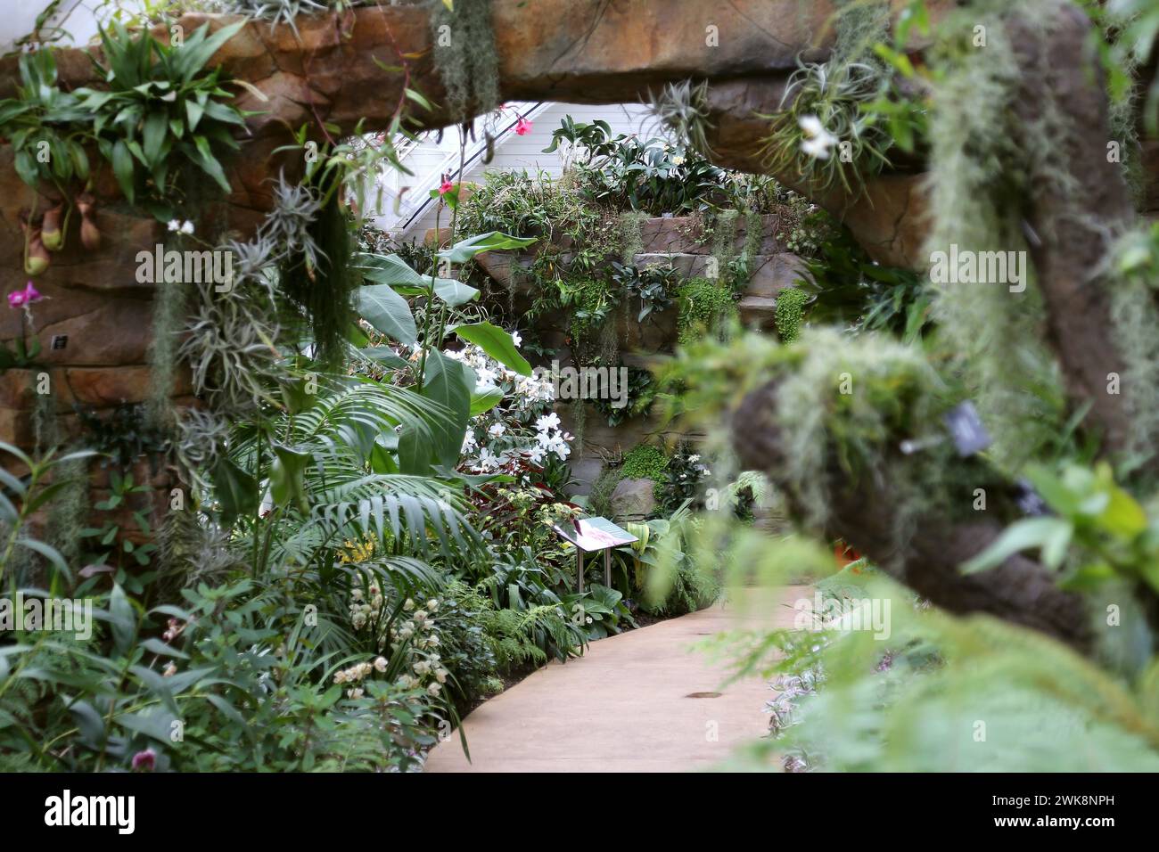 Orchid House, Houseplant Takeover 2024: Plants Before Time, Glasshouse ...