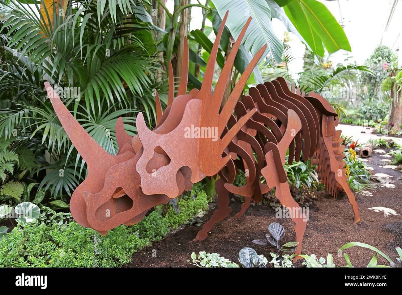 Styracosaurus sculpture, Houseplant Takeover 2024: Plants Before Time ...