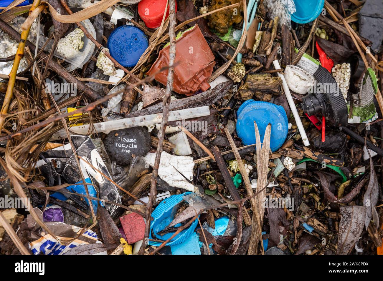 Litter washed up on the banks of a reservoir, including plastic lids ...