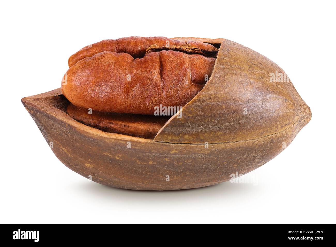 broken pecan nut isolated on white background with full depth of field ...