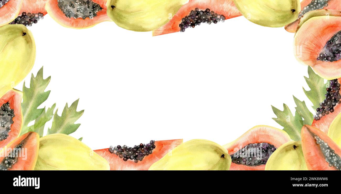 Watercolor tropical papaya fruits frame. Banner with papaya ripe and ...