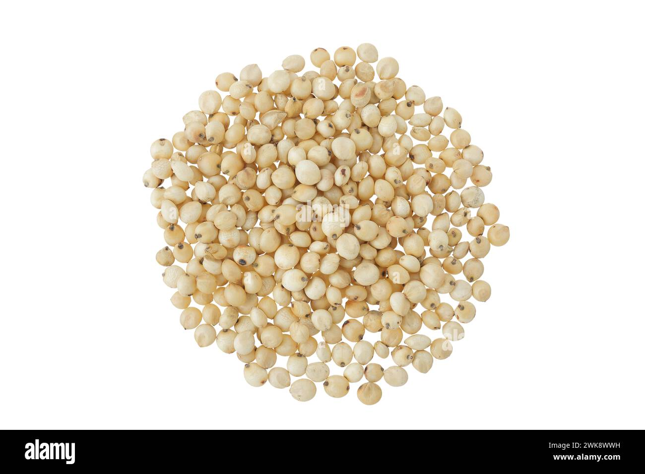 Sorghum seeds isolated on white background. Top view. Flat lay Stock ...