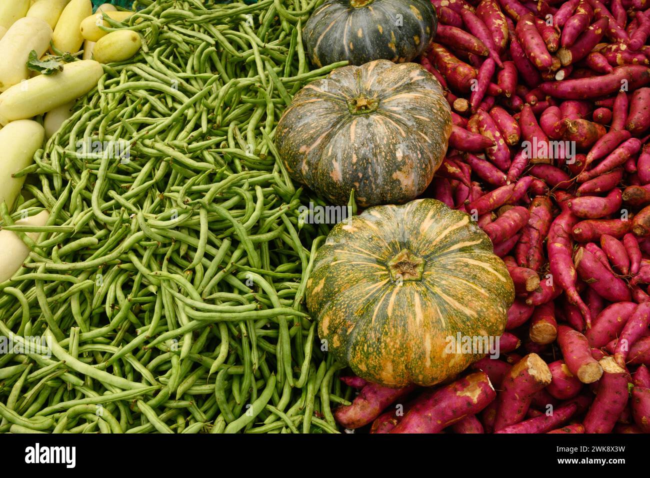 Different Asian organic vegetables sweet potato, green pepper,pumpkins ...