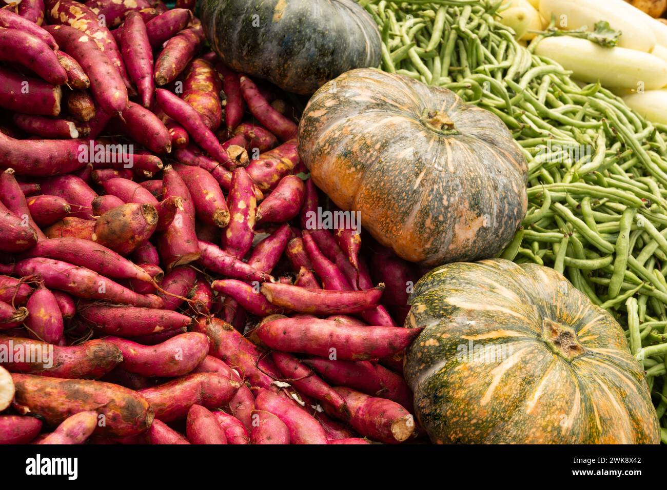 Different Asian organic vegetables sweet potato, green pepper,pumpkins ...