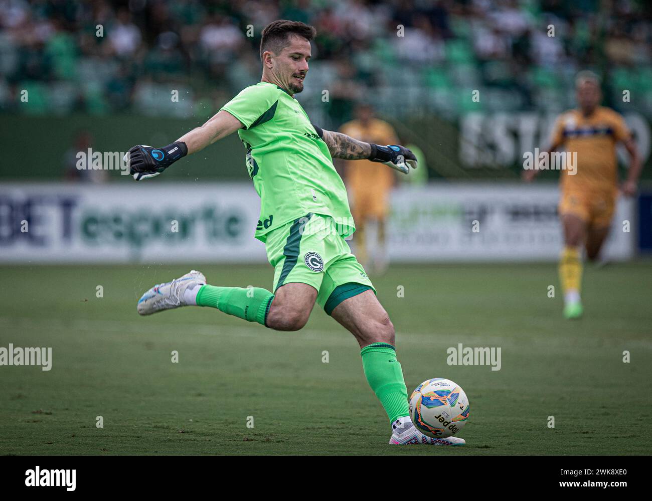 GO - GOIANIA - 02/17/2024 - GOIANO 2024, GOIAS (Photo by Isabela Azine ...