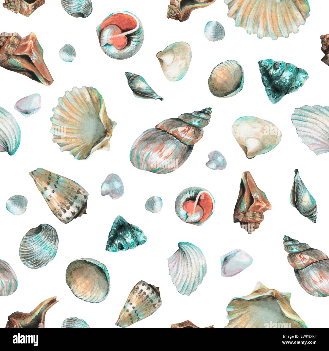 Seashell Pattern on isolated background. Hand drawn watercolor seamless ...