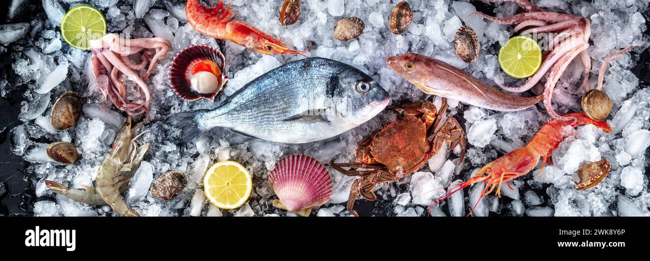 Seafood panorama. Fresh fish and sea food on ice, overhead flat lay ...