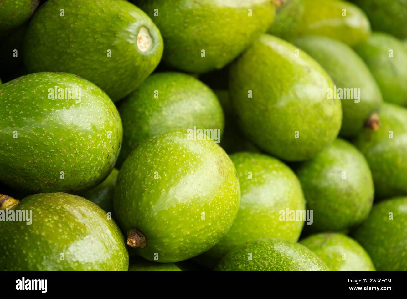 Fresh healthy green avocado on market as background. Agriculture. Food ...