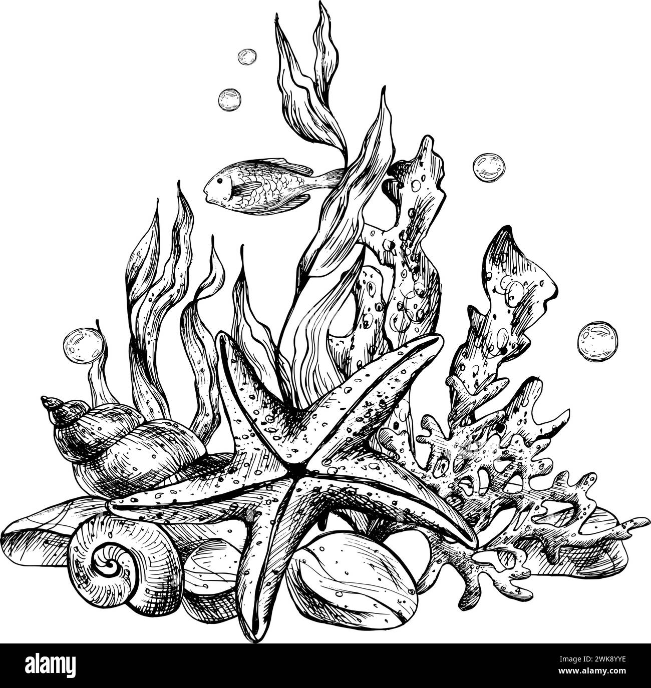 Fish and shells Black and White Stock Photos & Images - Alamy