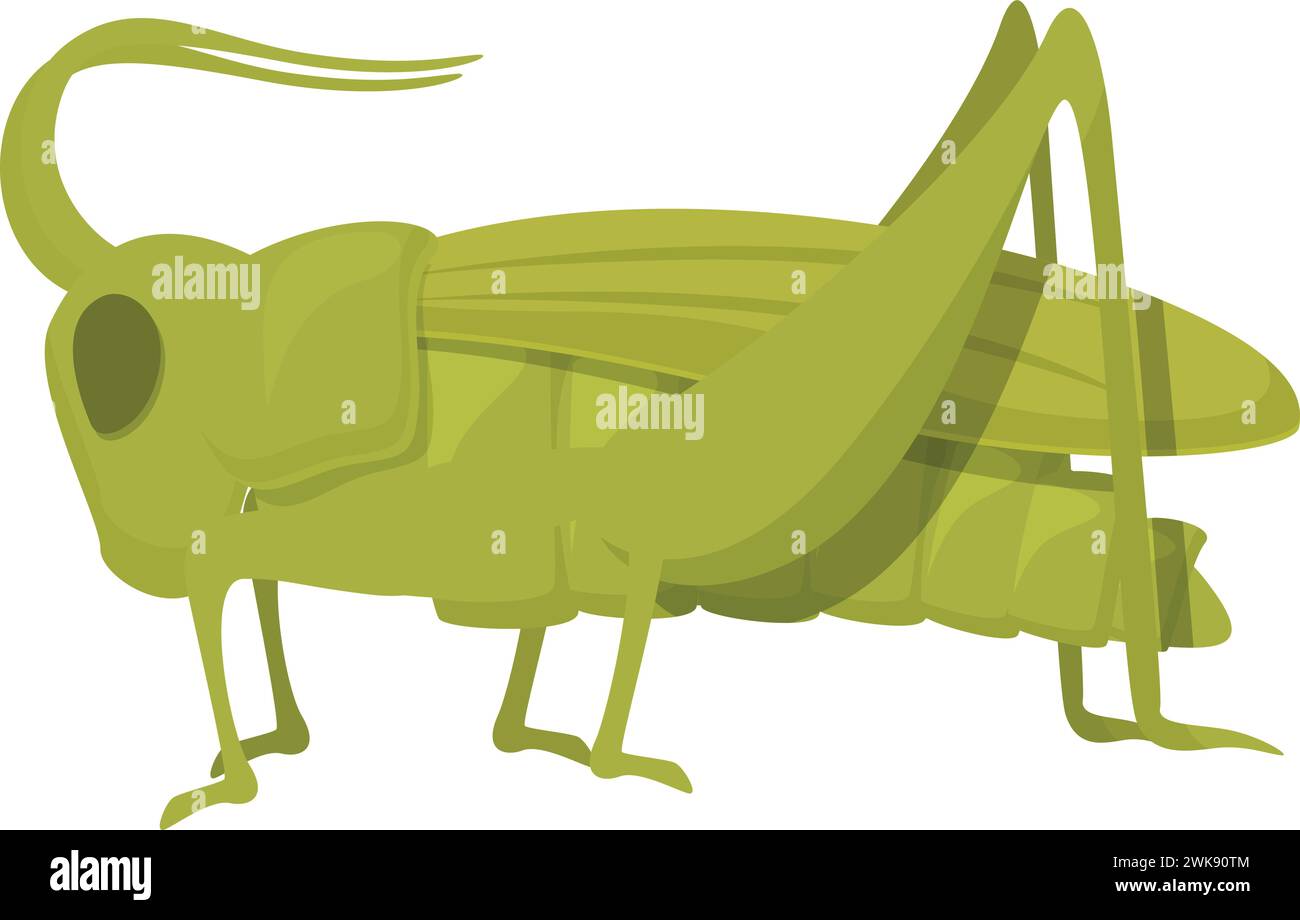 Happy grasshopper icon cartoon vector. Art nature insect. Small ...