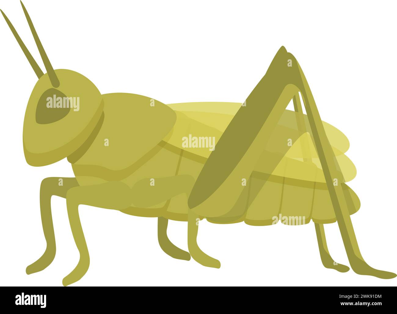 Fly grasshopper icon cartoon vector. Mascot art insect. Verdant color ...