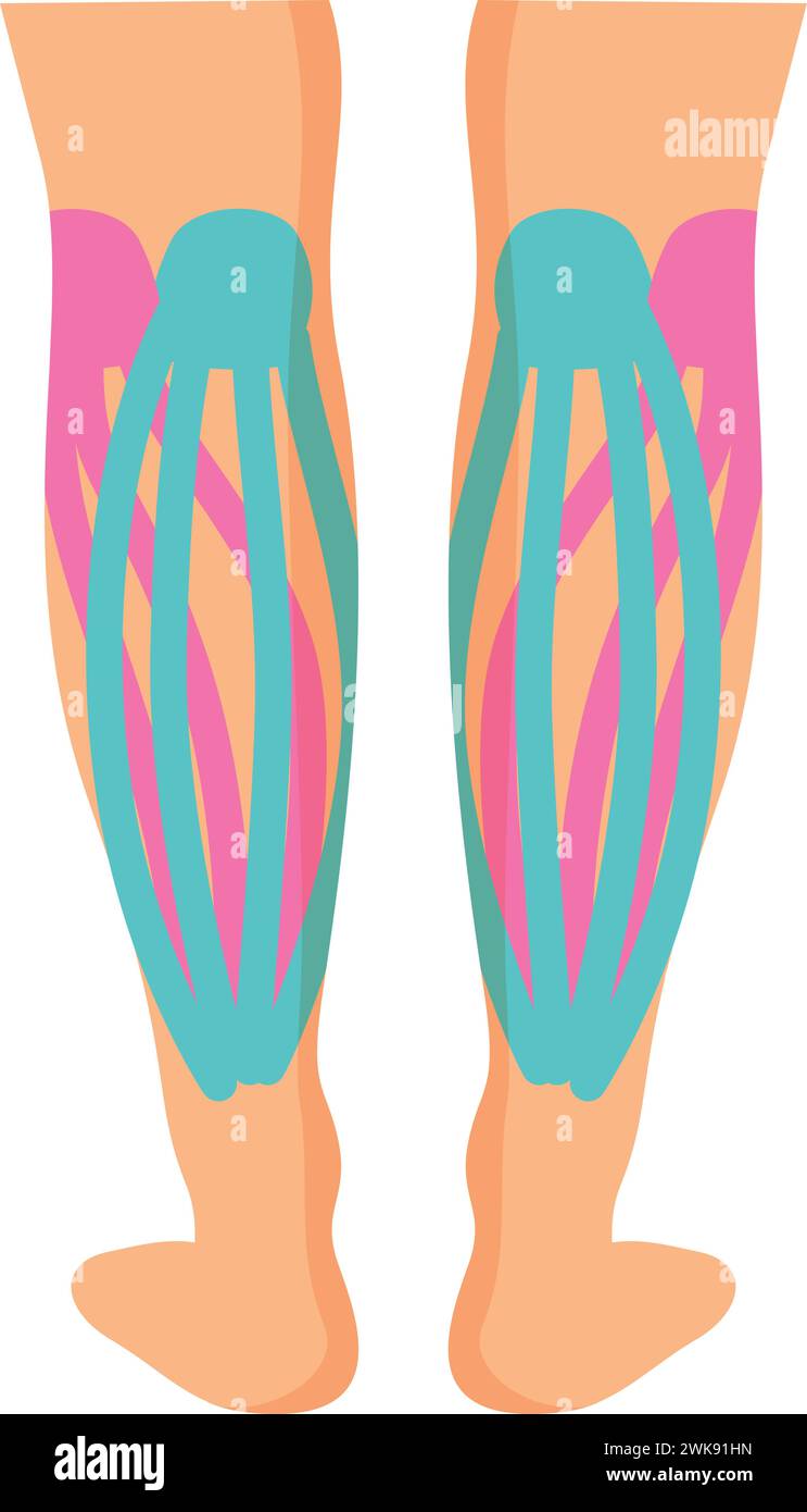 Legs muscle kinesio icon cartoon vector. Sport tape. Pain therapy ...