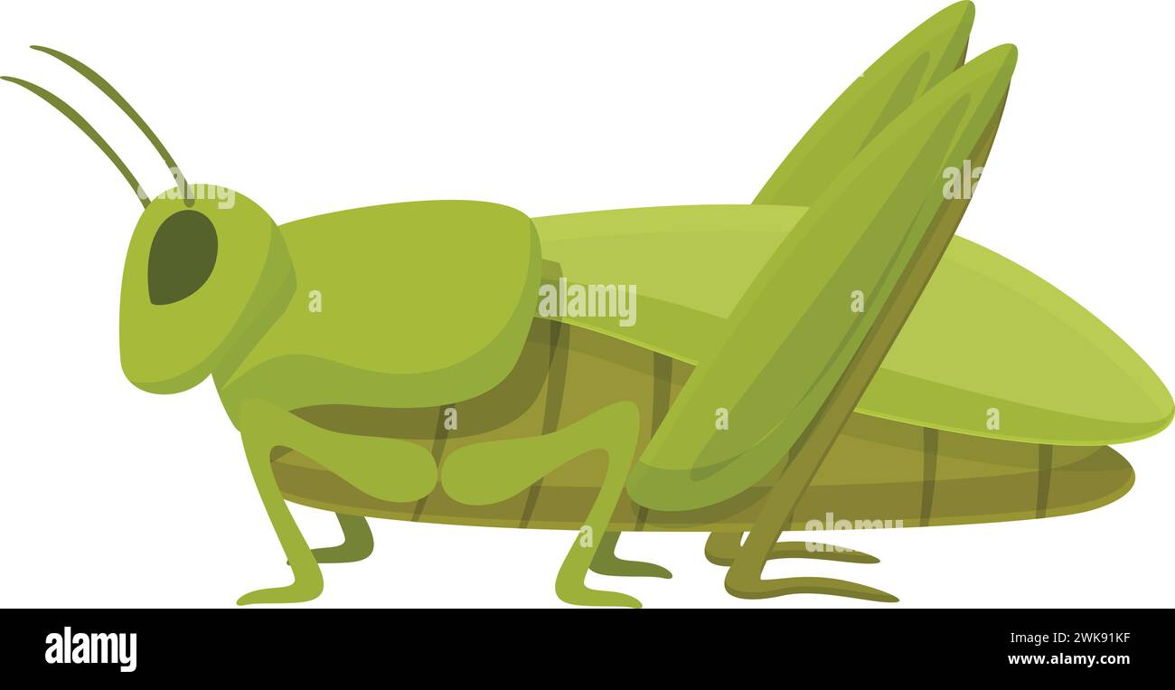 Life grasshopper icon cartoon vector. Mascot art. Migratory life bug ...