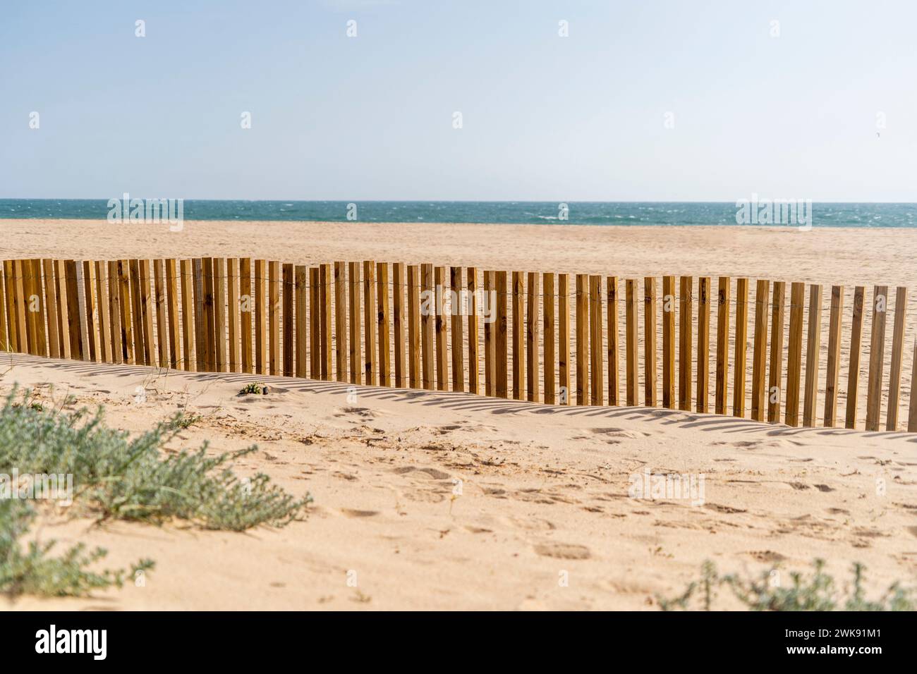 Sand beach with ocean behind, dune wood fence and sea grass Stock Photo ...