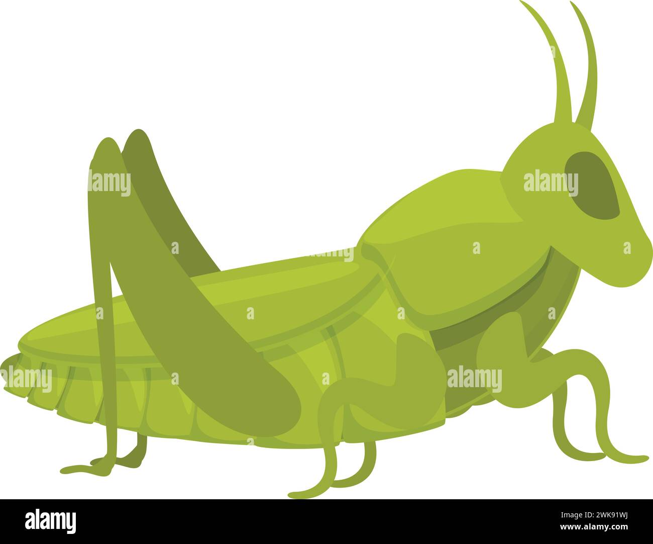 Grasshopper character icon cartoon vector. Art ant. Locust pest fun ...