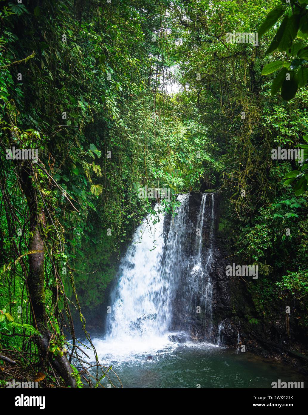 El arenal bridge hi-res stock photography and images - Alamy