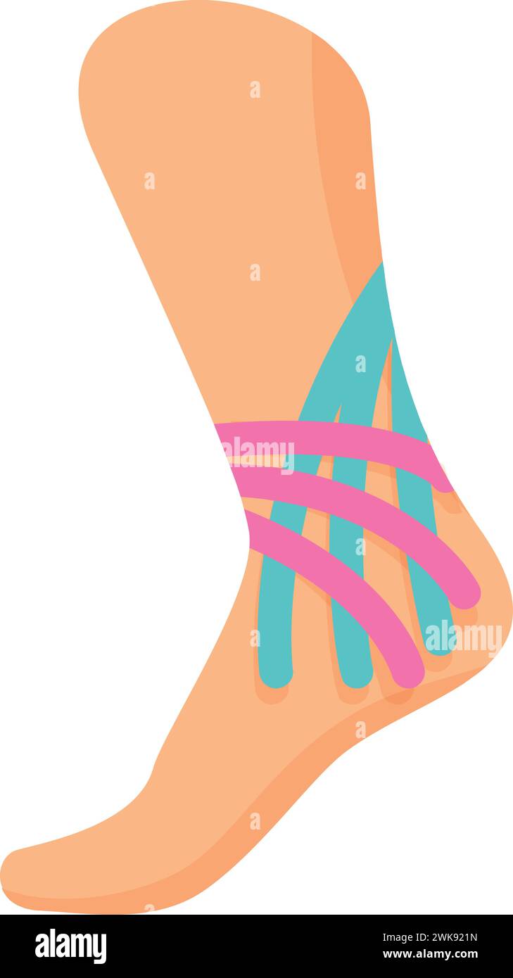 Kinesiology vector hi-res stock photography and images - Alamy