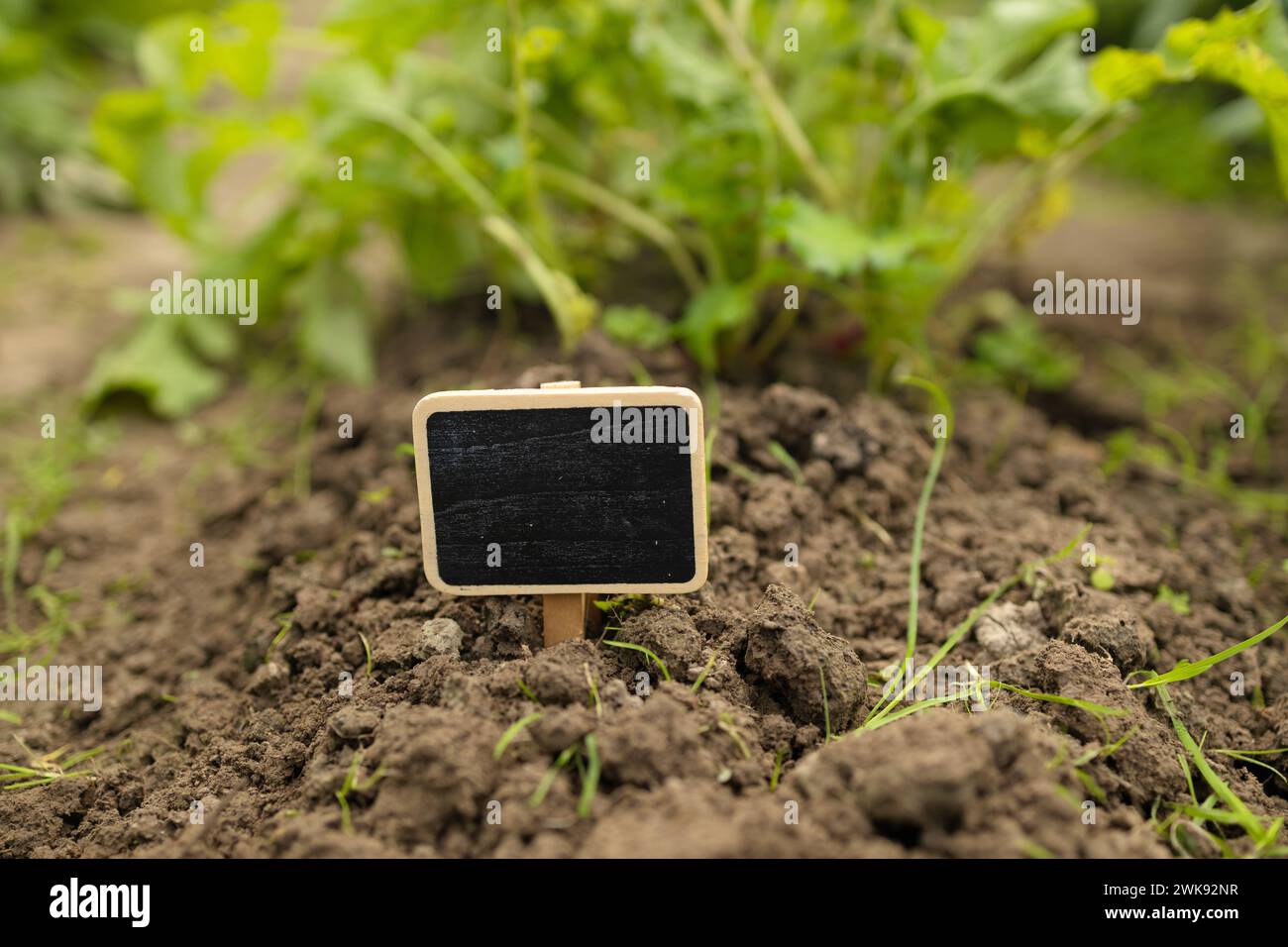 Black blank billboard against green field landscape. Empty mockup ...