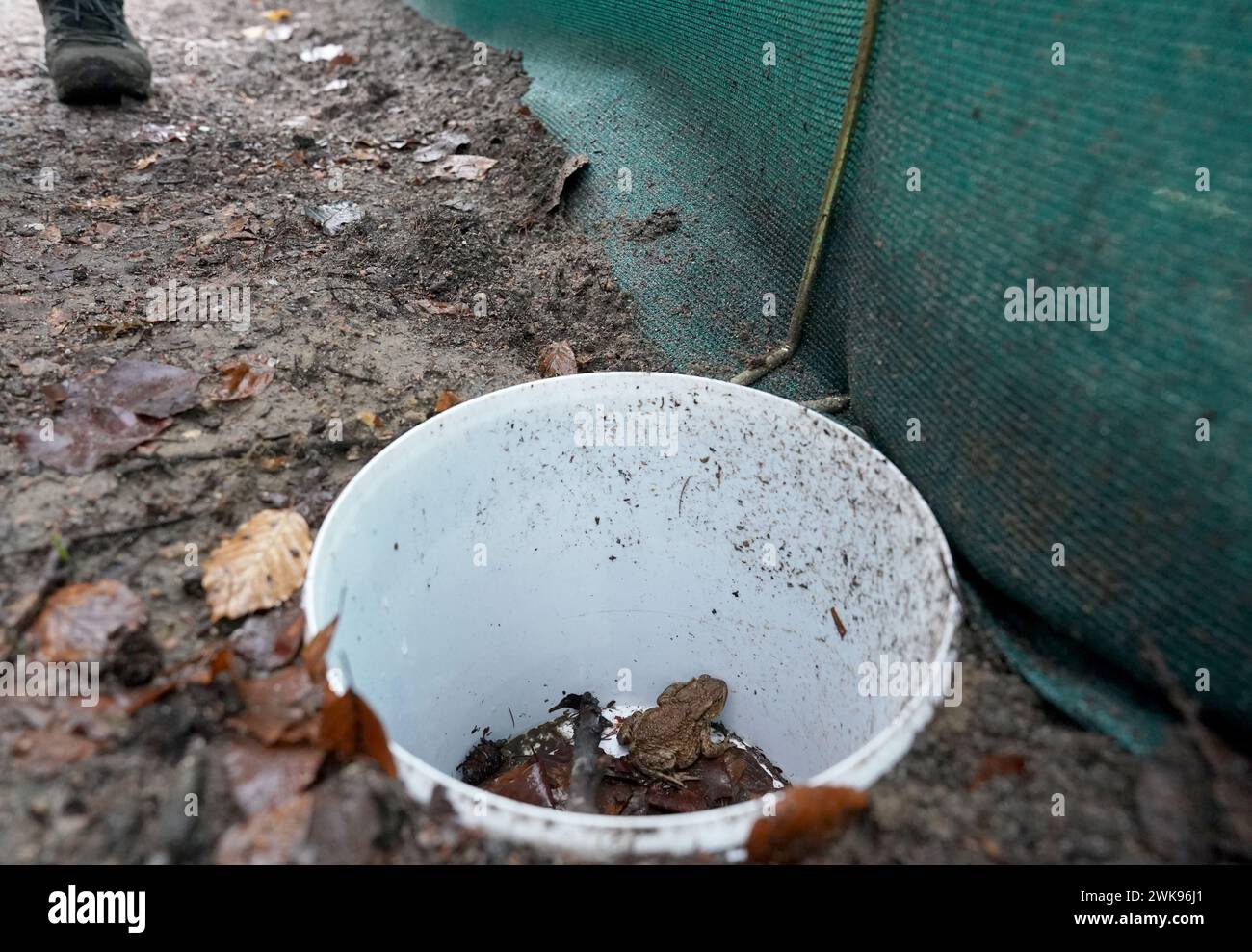 Hamburg, Germany. 19th Feb, 2024. PRODUCTION - 19 February 2024 ...