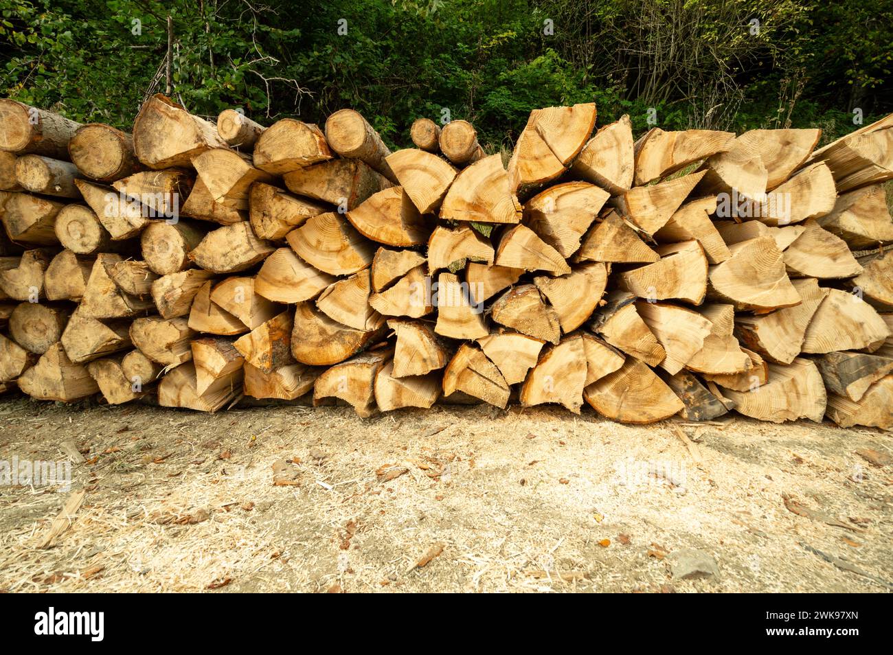 Firewood harvesting hi-res stock photography and images - Alamy