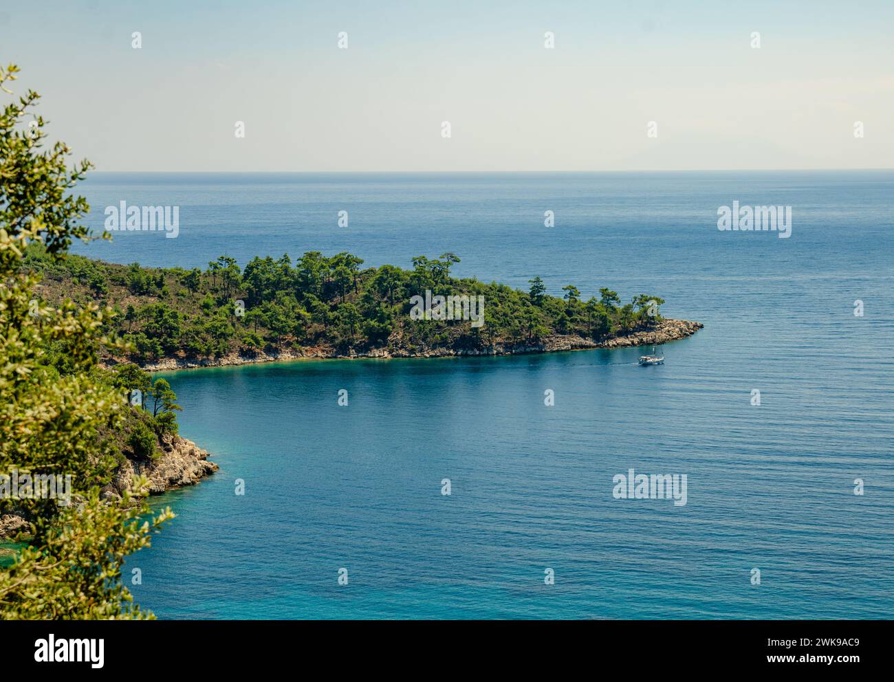 A serene view of the blue sea and green trees on the shore Stock Photo ...