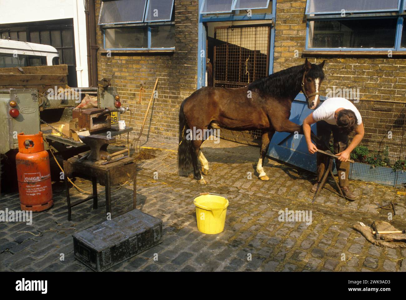 Horse stables London 1980s. Ross Nye Stables now known as Hyde Park ...
