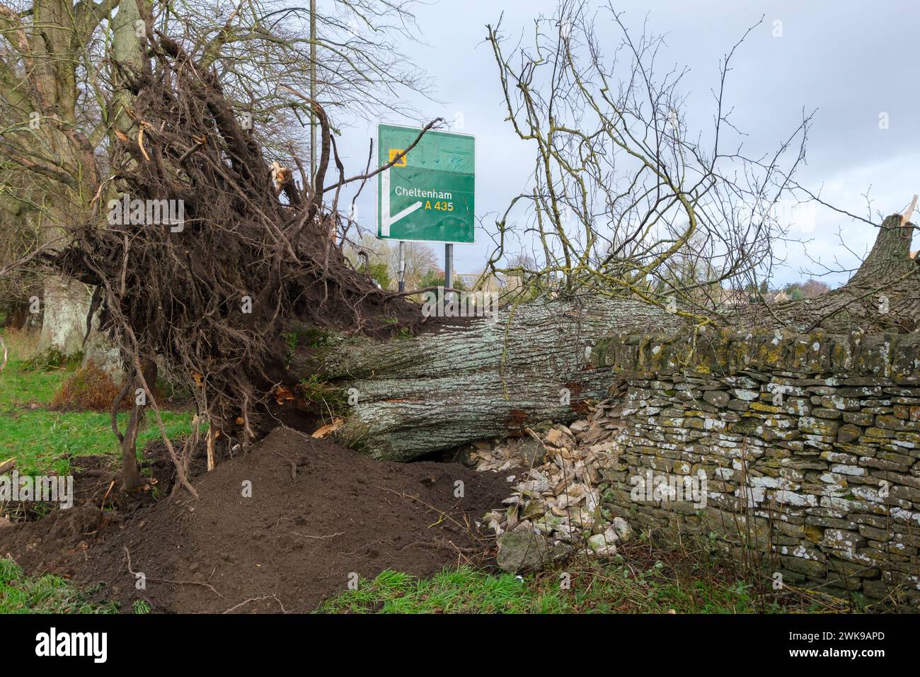 The A417 (A435) in Cirencester completely blocked buy a fallen tree ...