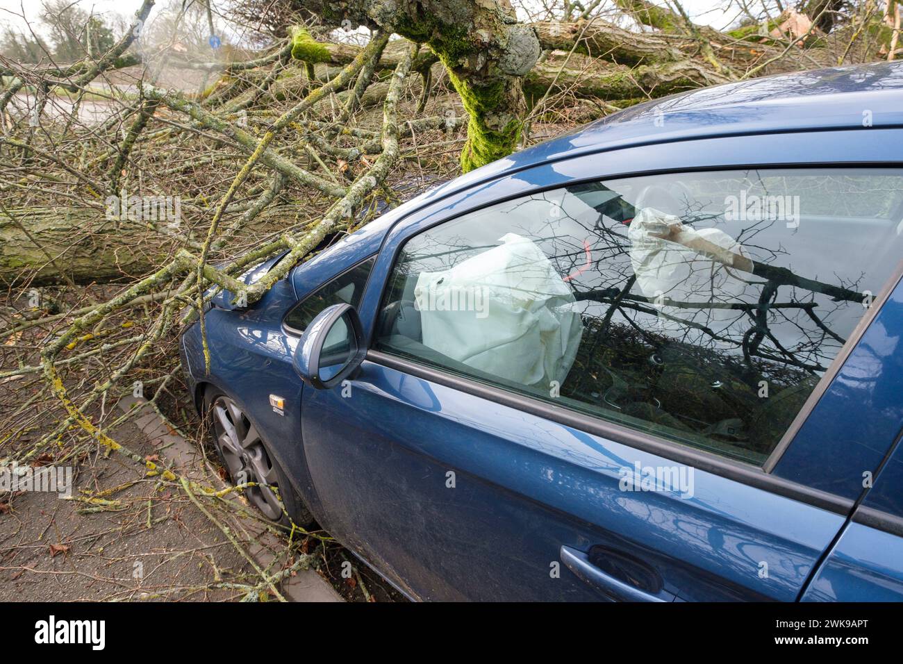 The A417 (A435) in Cirencester completely blocked buy a fallen tree ...