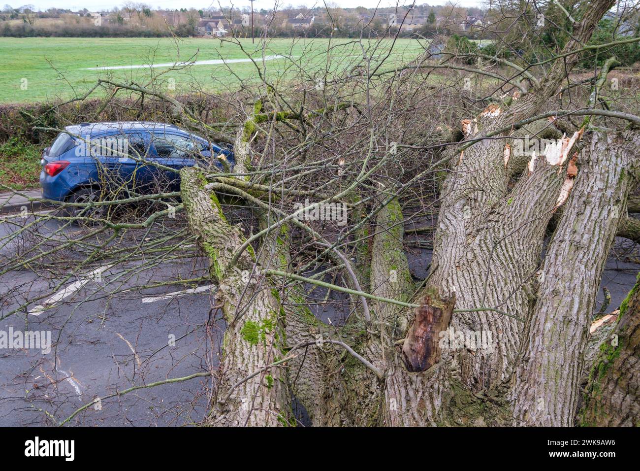 The A417 (A435) in Cirencester completely blocked buy a fallen tree ...