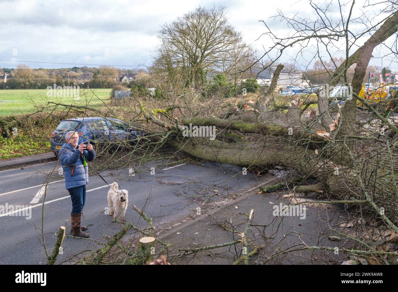 The A417 (A435) in Cirencester completely blocked buy a fallen tree ...