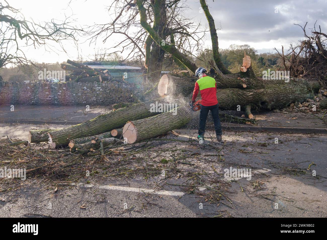 Workers clear a tree that fell and blocked the A417 at the A435 ...