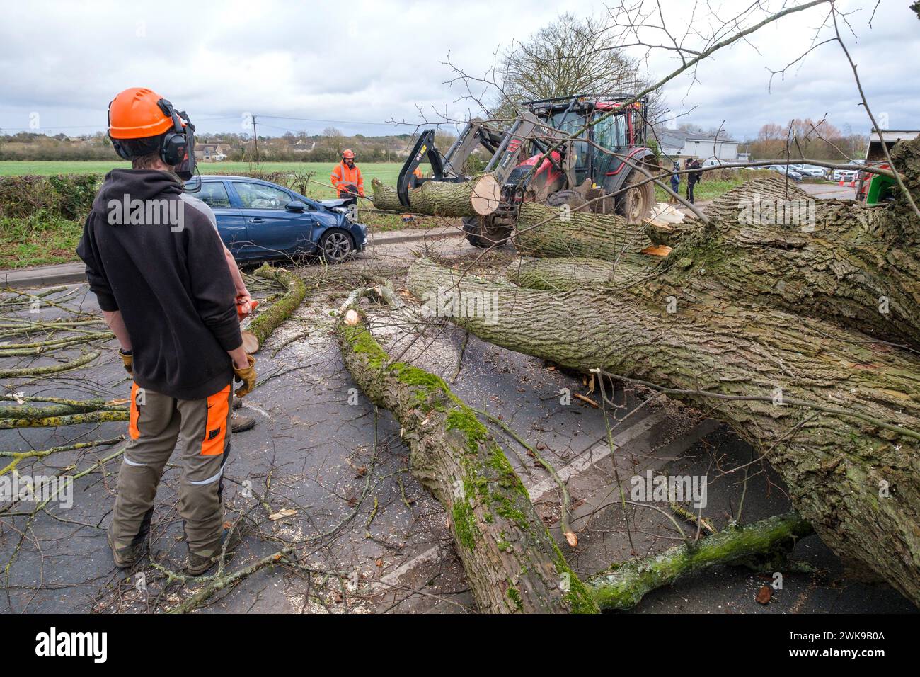 Workers clear a tree that fell and blocked the A417 at the A435 ...